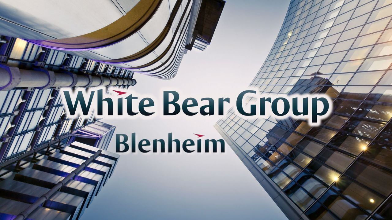 White Bear MGA and Blenheim attract ex-Fidelis ceded reinsurance head ...
